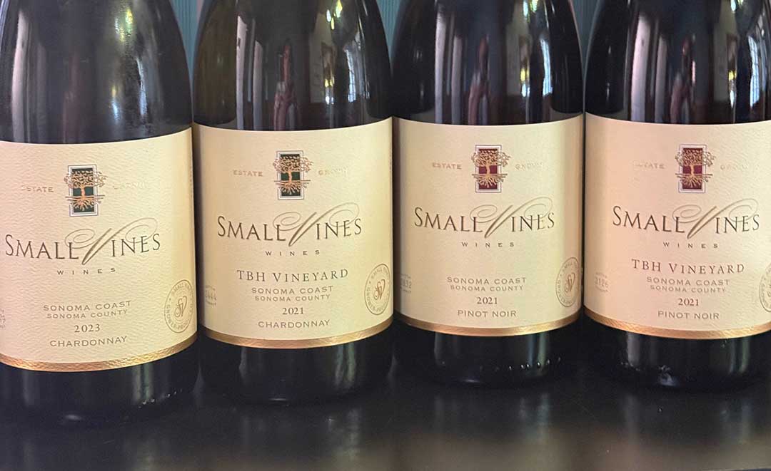 Small Vines Wines with Paul Sloan - California Wine Country